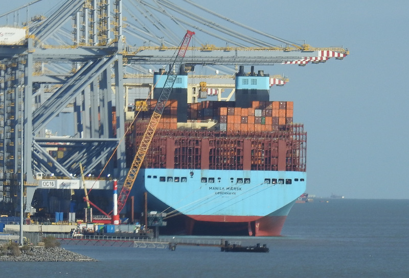 MANILA MAERSK on D P World. | Container Ships | Tilbury and Chadwell ...
